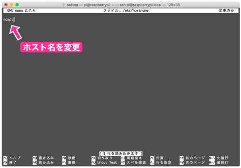 Raspberry Pi