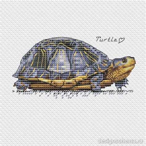 Turtle Realistic Reptile Cross Stitch Pattern Embroidery Etsy