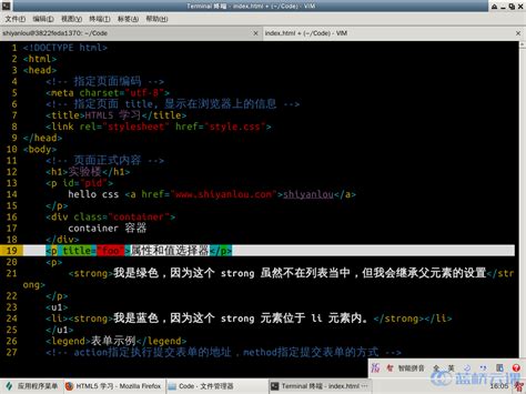Html Css