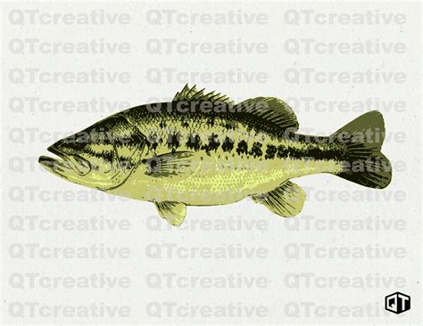 Largemouth Bass Svg Eps Png Jpeg Instant Download 1 Graphic 4