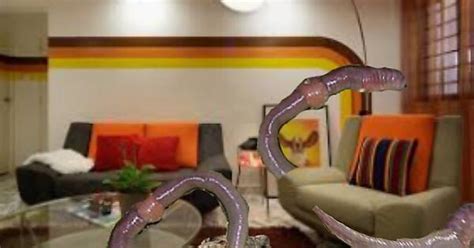 Vermiphobia Operation Phobia On Reddit Album On Imgur