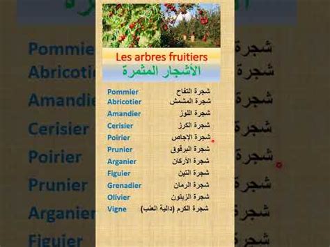 بحث عن أنواع ألأشجار بالفرنسية