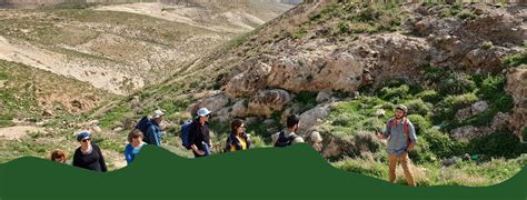 ‎בית ספר עלי בית ספר עלי גבעה גבעת אבני גליל תחתון