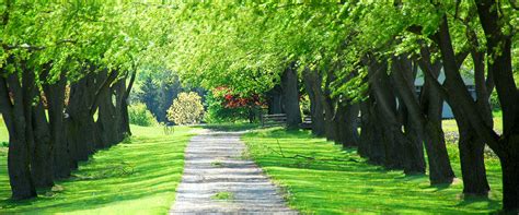 Gallery Terra Lawn Care Specialists