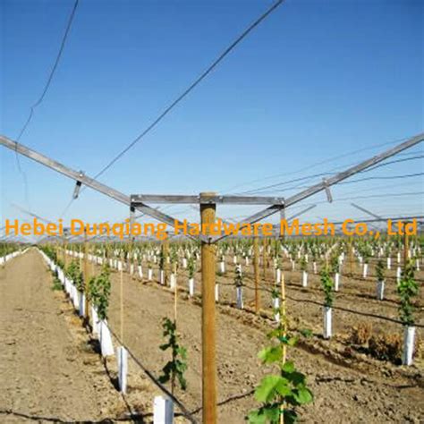 Vineyard Use Open Gable Trellis System With All Accessories In Hengshui