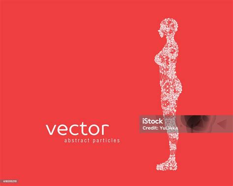 Vector Illustration Of Female Body Stock Illustration Download Image