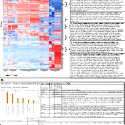 Hierarchical Clustering Heat Map Of Gene Expression Of All Samples And Analysis Of Genes In