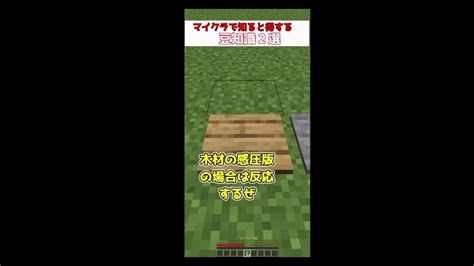 マイクラ知っとけ豆知識！！マイクラ Short 豆知識 Youtube