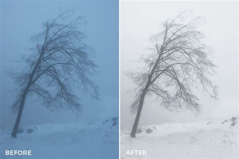 Carson Breen Lightroom Presets Filtergrade