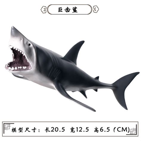 🍁（9款大號）仿真 鯊魚 大白鯊 巨齒鯊 鯨鯊 鯊 鯨魚 抹香鯨 藍鯨 海洋 動物模型 玩具 公仔 Spg 隨草憶境 蝦皮購物