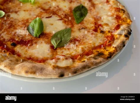 Pizza Margherita With Basil Fior Di Latte And Tomato In The Verace