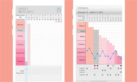The Top 10 Best Fertility Apps — Period Brit Co