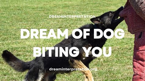Dream Of Cat Attacking And Biting You Interpretation And Spiritual Meaning