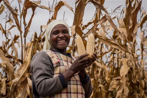Celebrating Women Farmers The Backbone Of Africas Rural Agriculture