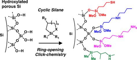 使用杂环硅烷对羟基化硅纳米结构进行简单的表面改性 Journal Of The American Chemical Society X Mol