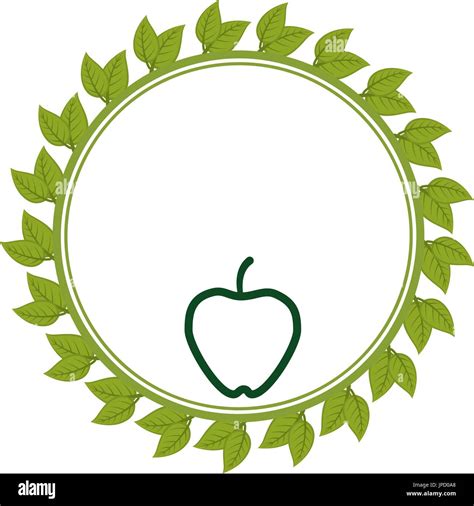 Decorative Circular Frame With Leaves Over White Background Icon Stock