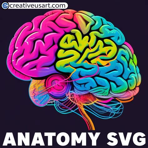 Anatomy Svg Tagged Anatomy Svg Creativeusarts