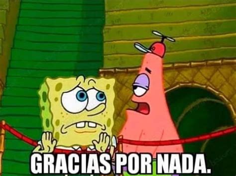 “paso De Fiera A Gato” Estos Son Los Mejores Memes De La Eliminación