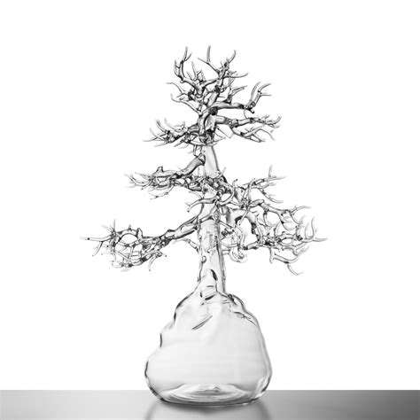 Hand Blown Glass Bonsai Sculpture 202308 By Simone Crestani For Sale