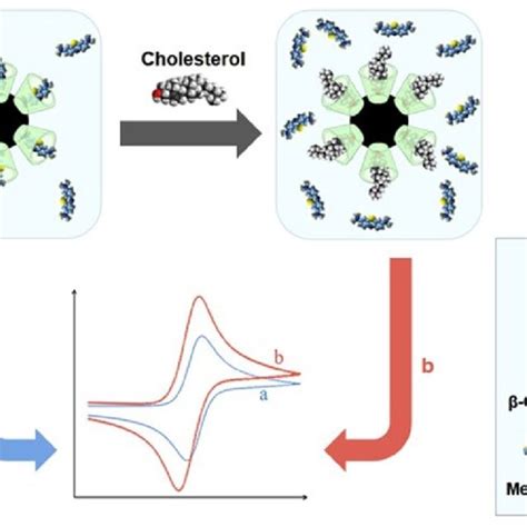 β Cyclodextrin Fe3o4nanocompositefor Cholesterol Sensor Reprinted With