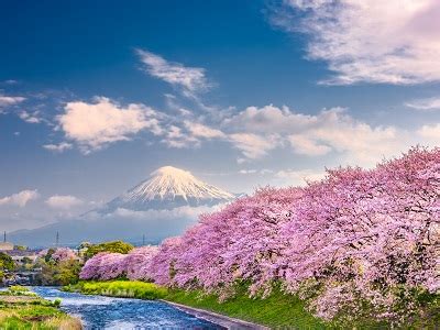 ツアーを探す 株式会社グローバル