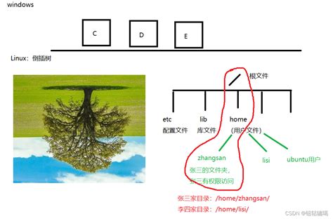 Linux终端操作的基本知识及指令 Csdn博客 Linux终端操作的基本知识及指令 Csdn博客
