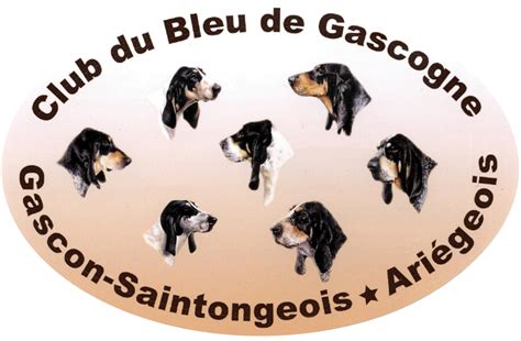 Brevet De Chasse Lièvre Chevreuil Fdc19
