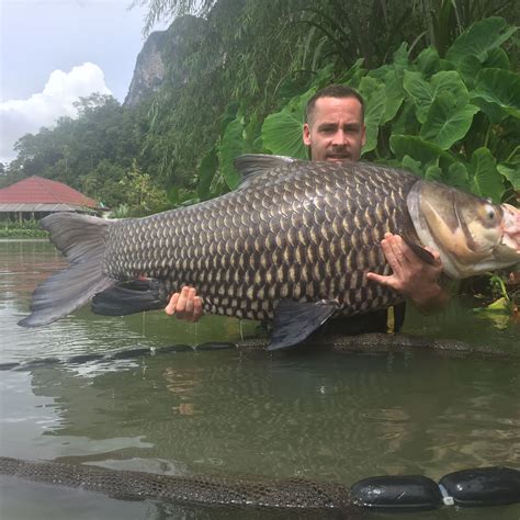 Thailand Captures Siamese Carp