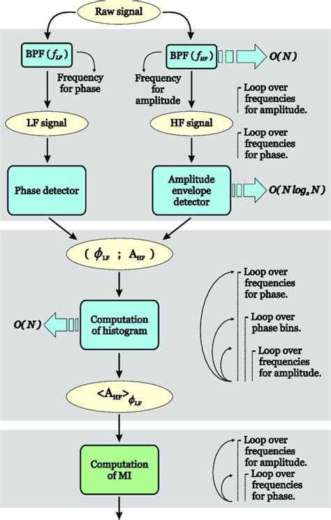 Phase To Amplitude Cross Frequency Coupling Algorithm See The