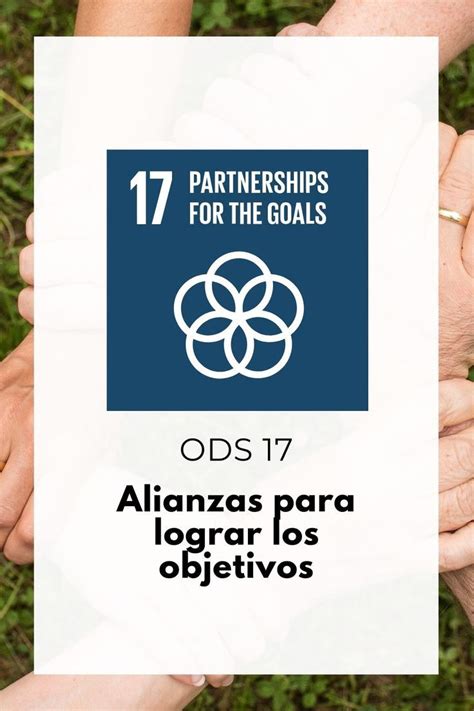 Ods 17 Alianzas Para Lograr Los Objetivos Desenvolvimento Pessoal