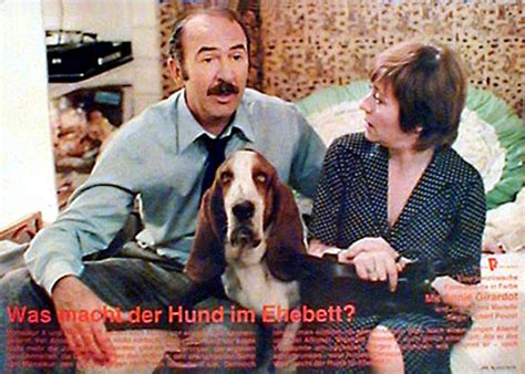 Was Macht Der Hund Im Die Erste Wahl Für