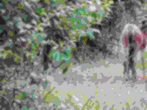 Bambi Basher Page 4 Corvetteforum Chevrolet Corvette Forum Discussion