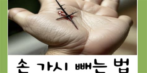 이것 하나면 손에 박힌 가시 쉽게 뺄 수 있다 팬도리의 대나무 숲