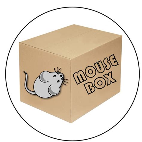 Mousebox Teaching Resources Teachers Pay Teachers