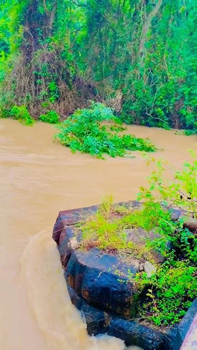 යාන් ඔයේ අඩි විස්සක් විතර උඩින් යන වතුර පාර කොහොමද😱 සක්‍රයිබ් කරගෙන