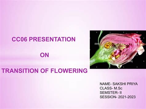 Flowering Process A Transition From Vegetative To Reproductive Organpptx