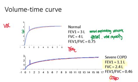 Pulmonary Function Tests Flashcards Quizlet