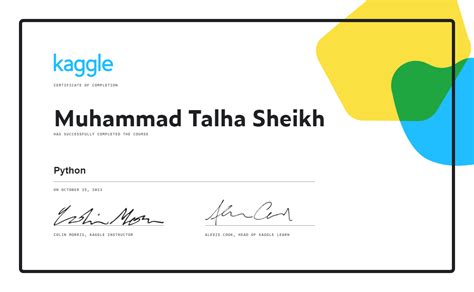 Muhammad Talha Sheikh Completed The Python Course On Kaggle