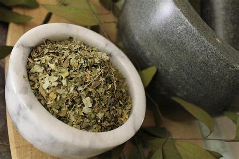 Moringa Leaf Cut And Sifted Etsy