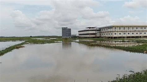 Sungai Martapura Meluap Seribu Hektare Tanaman Padi Di Kabupaten