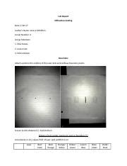 PHY Lab Report Diffraction Grating Docx Lab Report Diffraction Grating Date