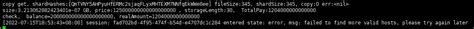 Testnet Environment Failed To Find More Valid Hosts Please Try Again