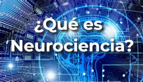 Qué Es La Neurociencia ¿cómo Puede Ayudarnos 5 Puntos