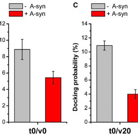 Negatively Charged Lipids On T Snare Side Are Essential For The