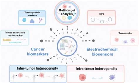用于癌症诊断的电化学生物传感器：多靶点分析呈现肿瘤异质性的分子特征 Jacs Au X Mol