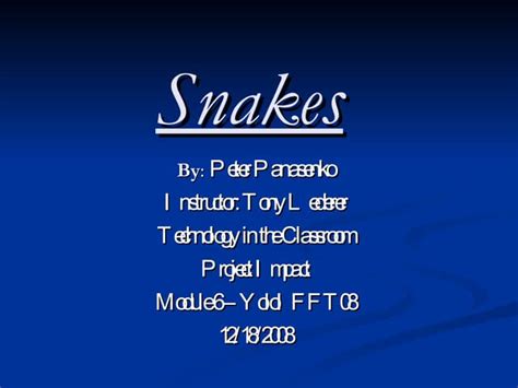 Snake Ppt Reptiles Pets