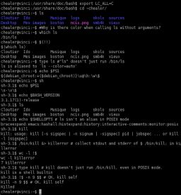 Bash Basic Information And Associated File Extensions File Extension