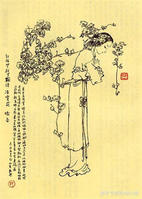 《红楼梦》一个丫鬟，怎么样忽然逆袭成为南京“市长”的夫人？ 知乎