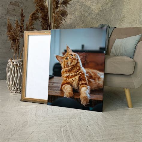 Картина на холсте Мейн кун кот рыжий 50x70 см Интерьерная на стену