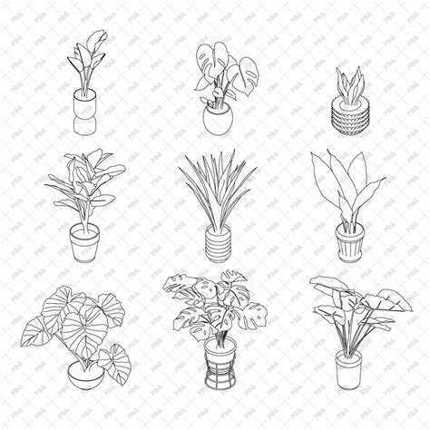 Cad，花盆中的矢量等距叶类植物 后数字建筑